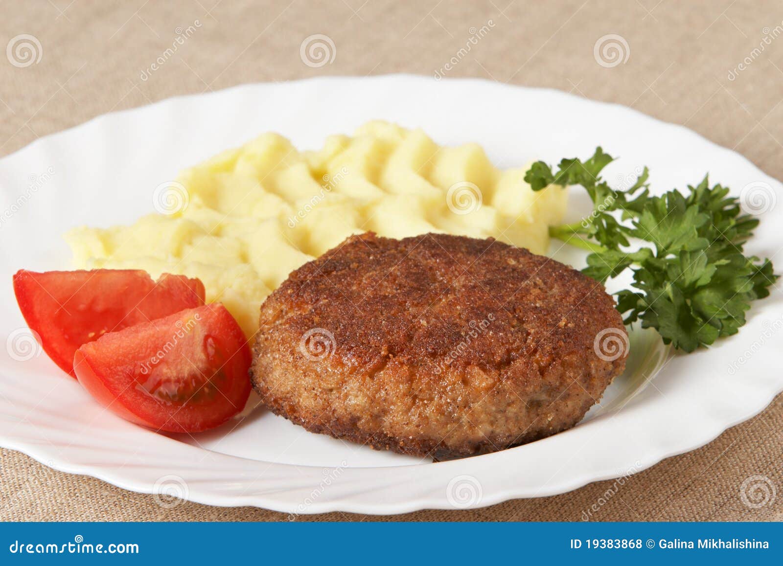 Cutlet stock photo. Image of serving, meat, yummy, dish - 19383868