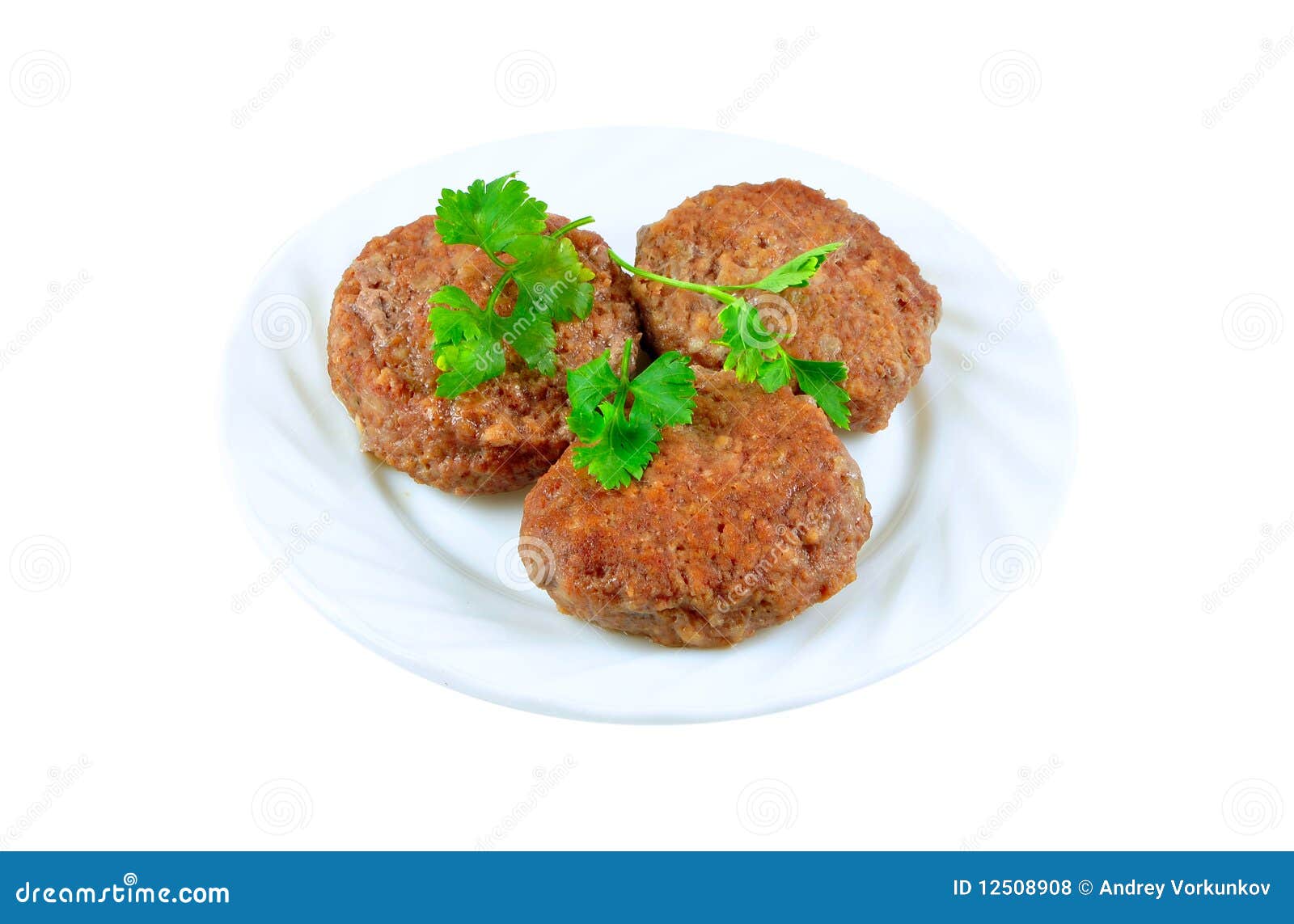 The cutlets fried stock photo. Image of eating, fried - 12508908