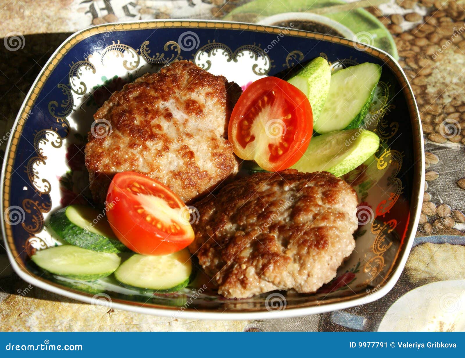 Cutlets in a plate stock image. Image of cloth, plant - 9977791
