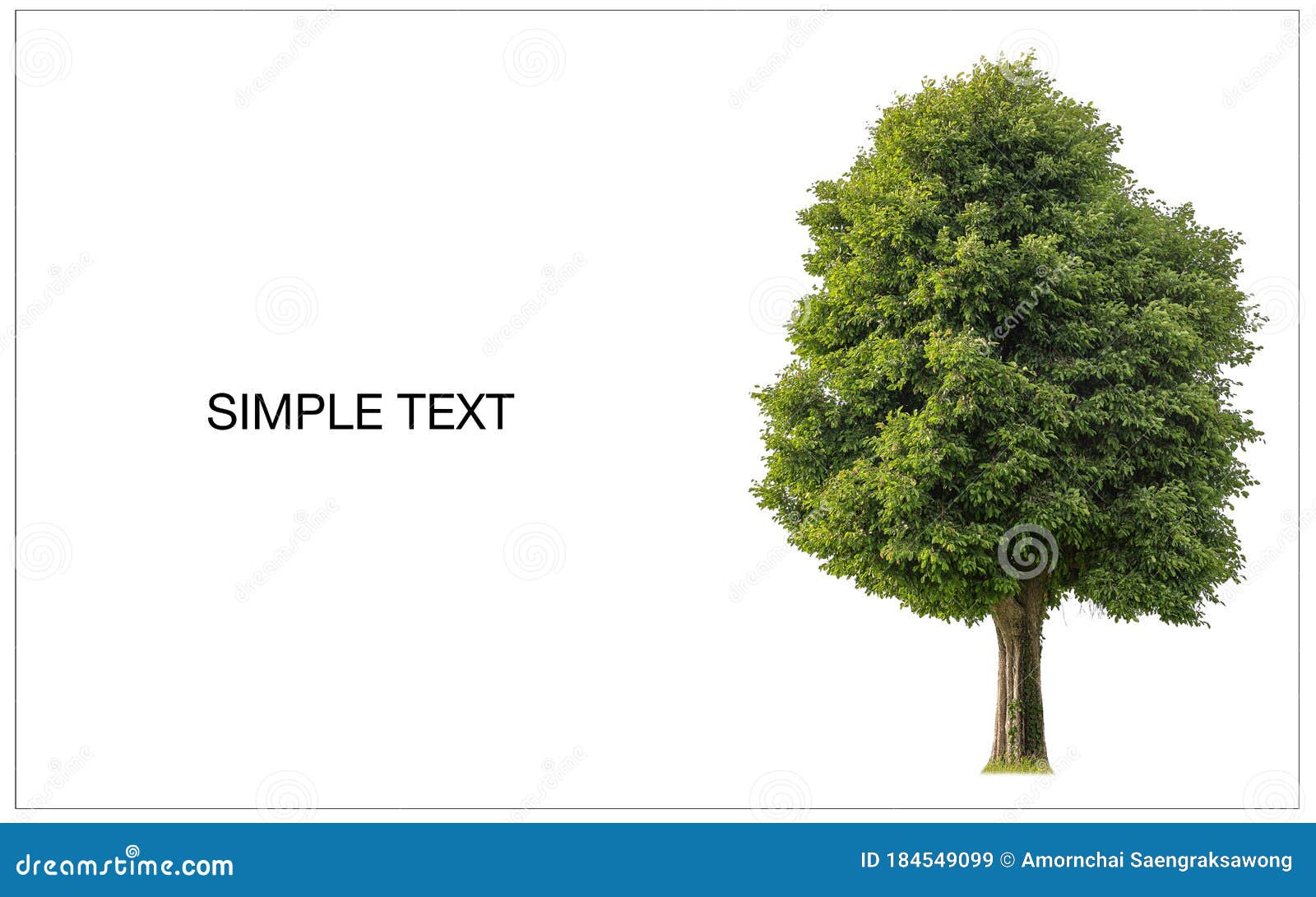 Cutout Tree for Use As a Raw Material for Editing Work with Copy Space ...