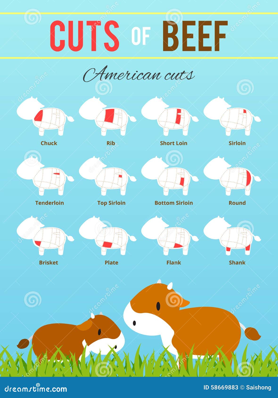 Cuts of beef cartoon stock vector. Illustration of sirloin - 58669883