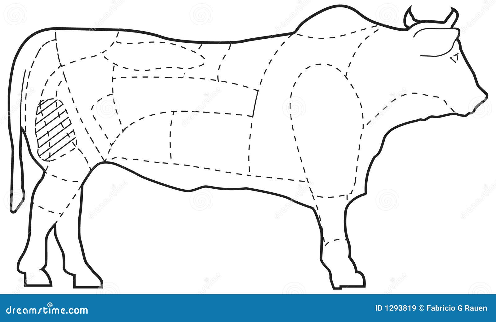 Cuts of beef illustration stock vector. Illustration of ribs - 1293819