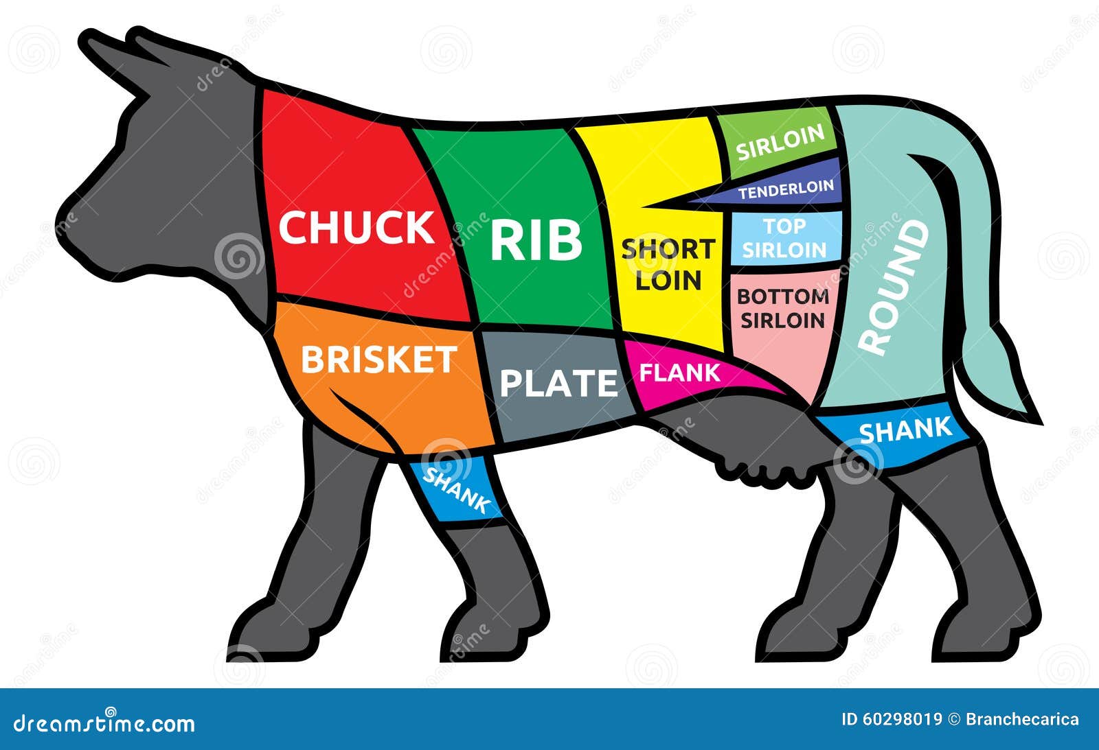 Cuts of beef stock illustration. Illustration of domestic - 60298019