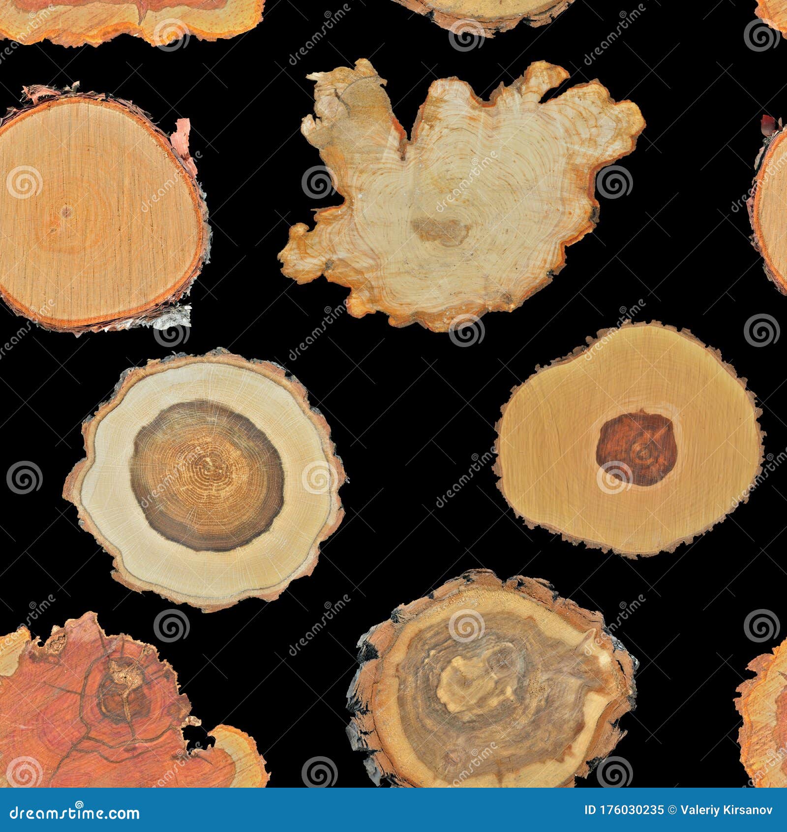 Cuts of Trees, Seamless Pattern Stock Image - Image of cutout, isolated ...