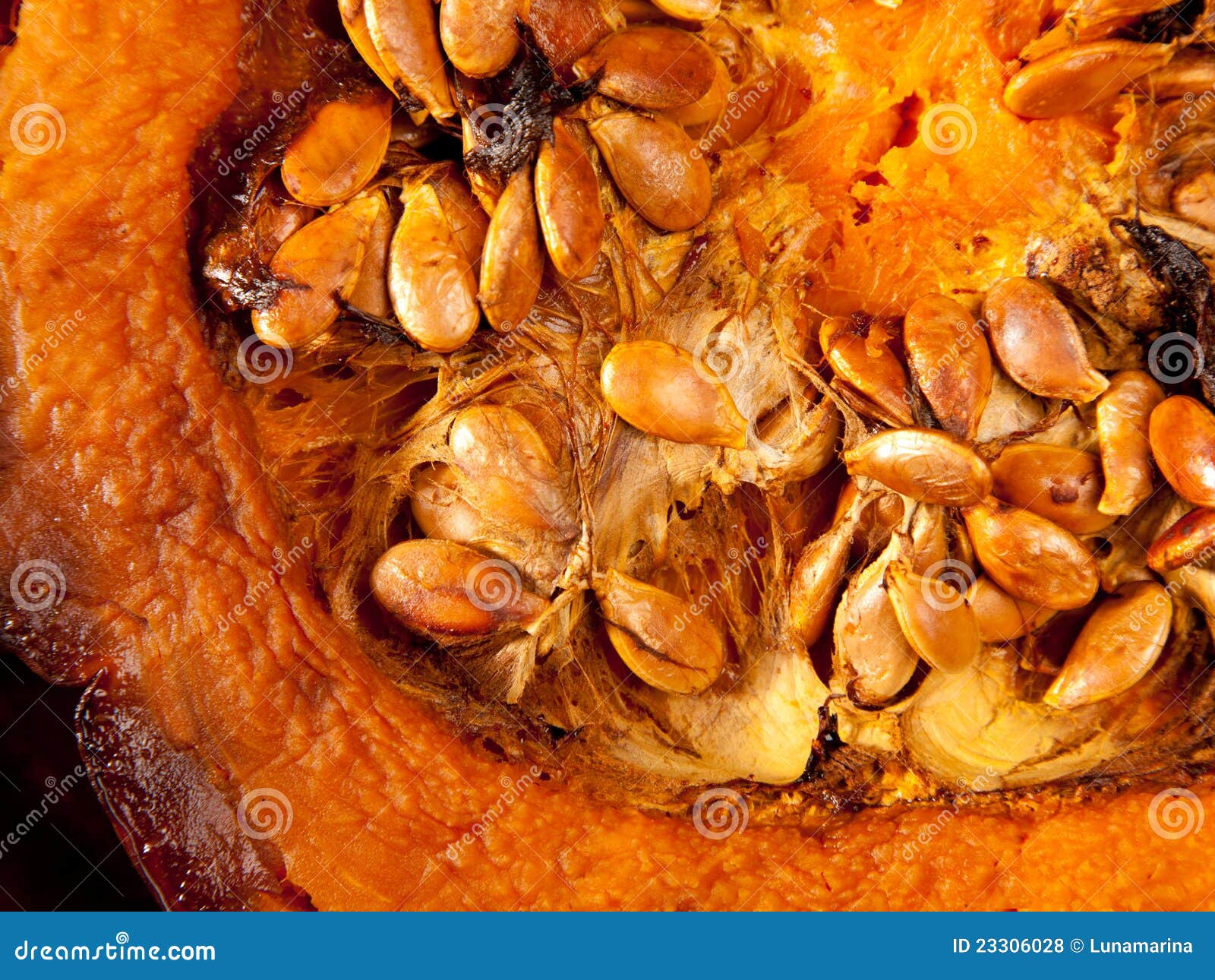 Cutted Half Pumpkin Roasted Pumpkin Stock Photo - Image of colorful ...