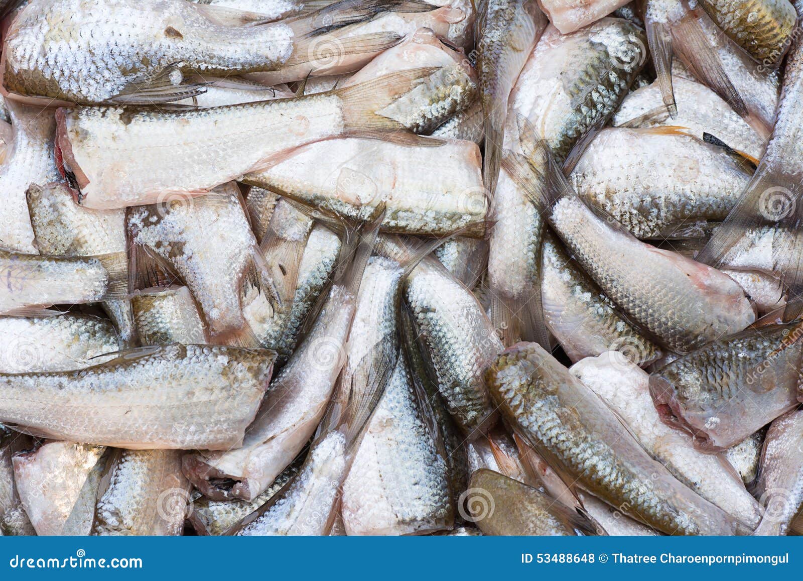 Cutted Head Fish for Cooking. Stock Photo - Image of kitchen, omega ...