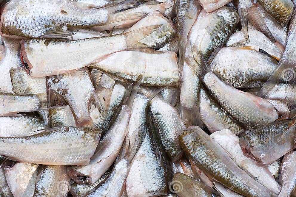 Cutted Head Fish for Cooking. Stock Photo - Image of kitchen, omega ...