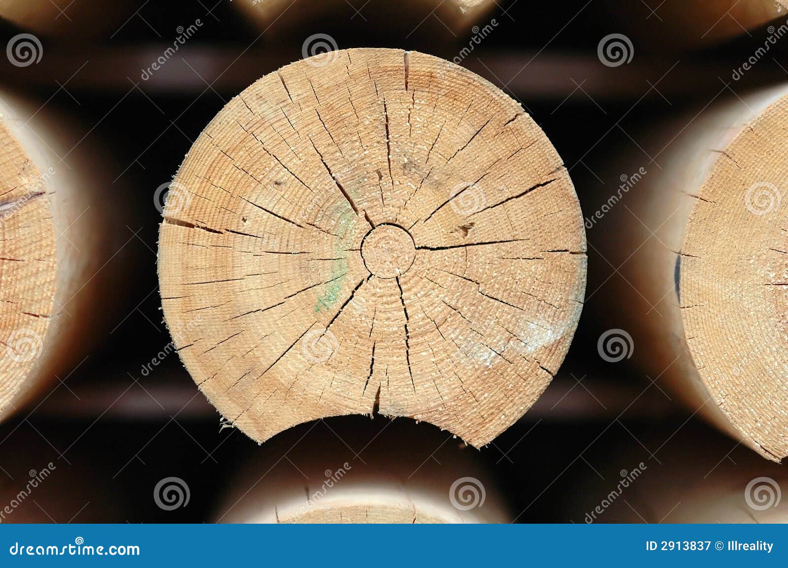 Cutted log stock image. Image of beam, pine, forestry - 2913837