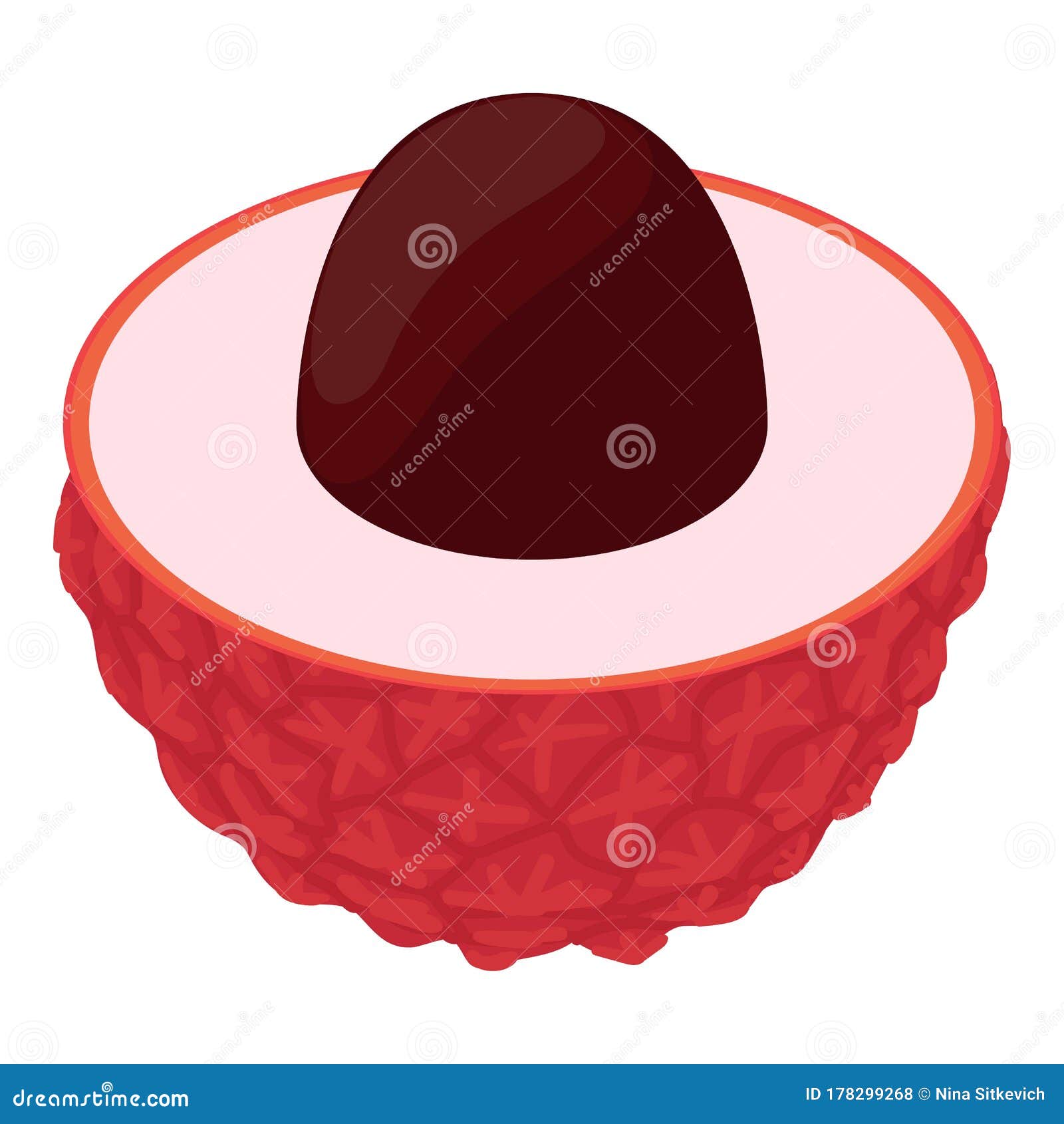 Cutted Lychee Icon, Isometric Style Stock Vector - Illustration of ...
