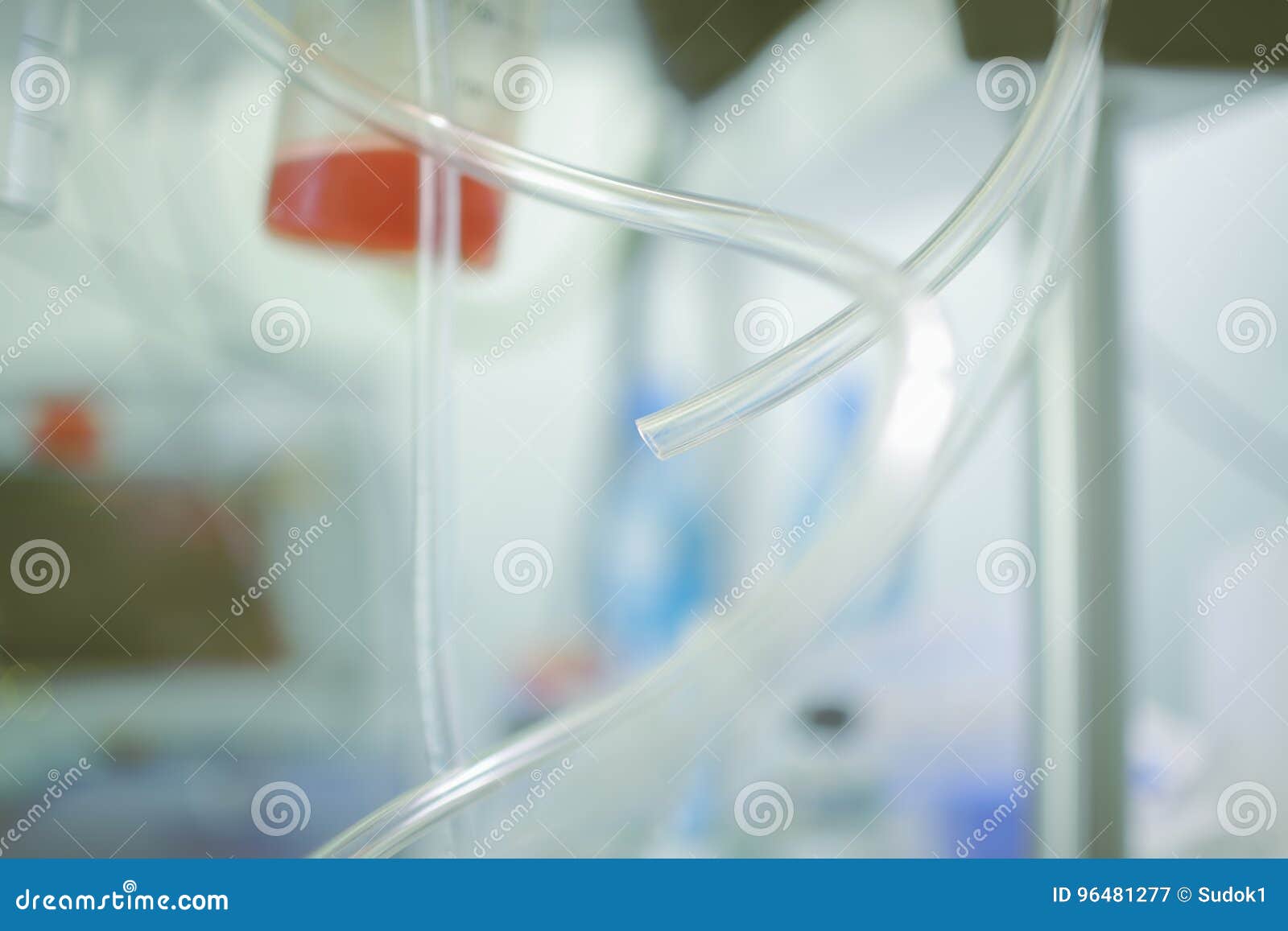 Cutted Medical Plastic Tube in the Ward Stock Image - Image of placard ...