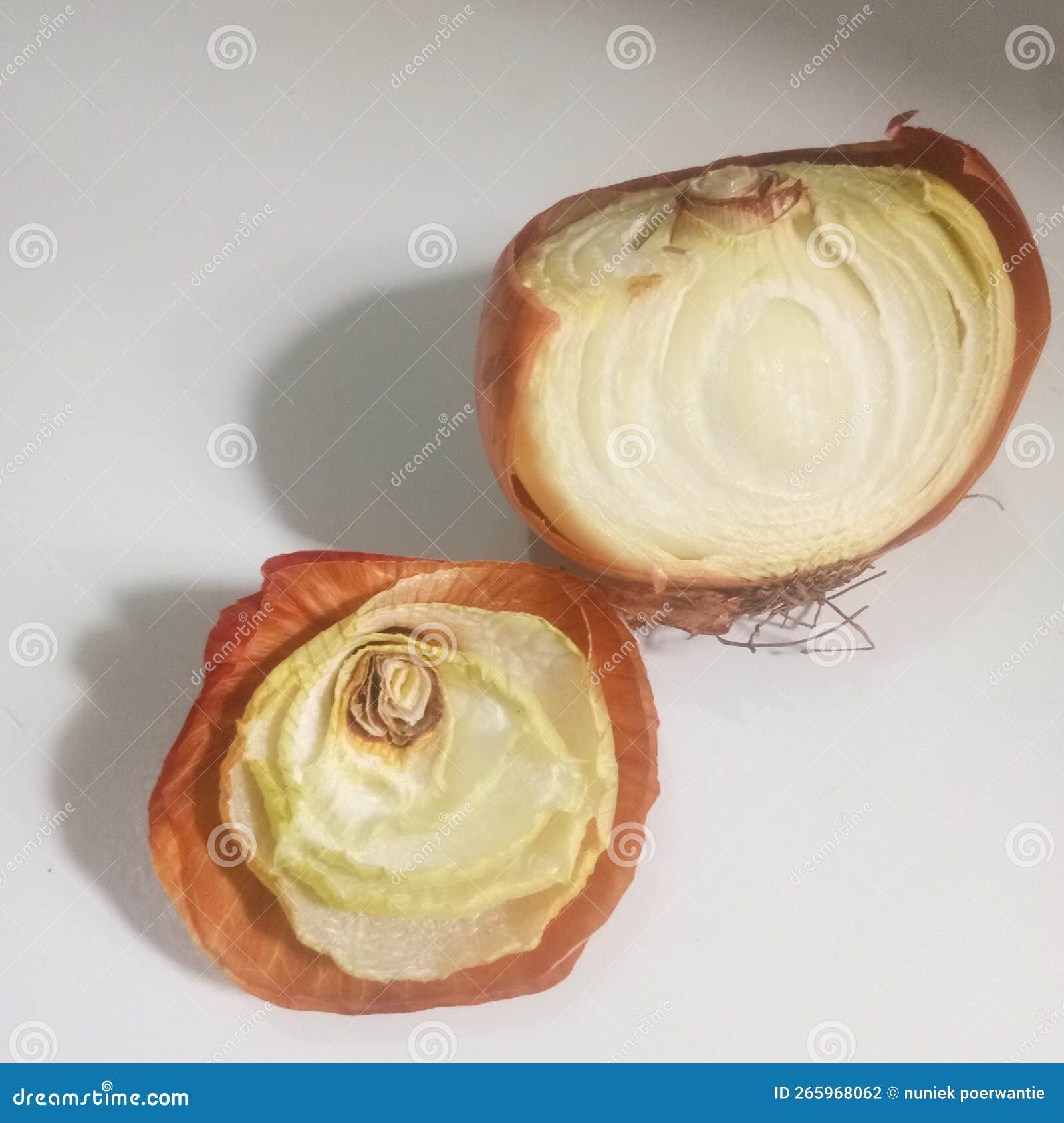 Cutted Rotten Onion stock photo. Image of flower, cake - 265968062