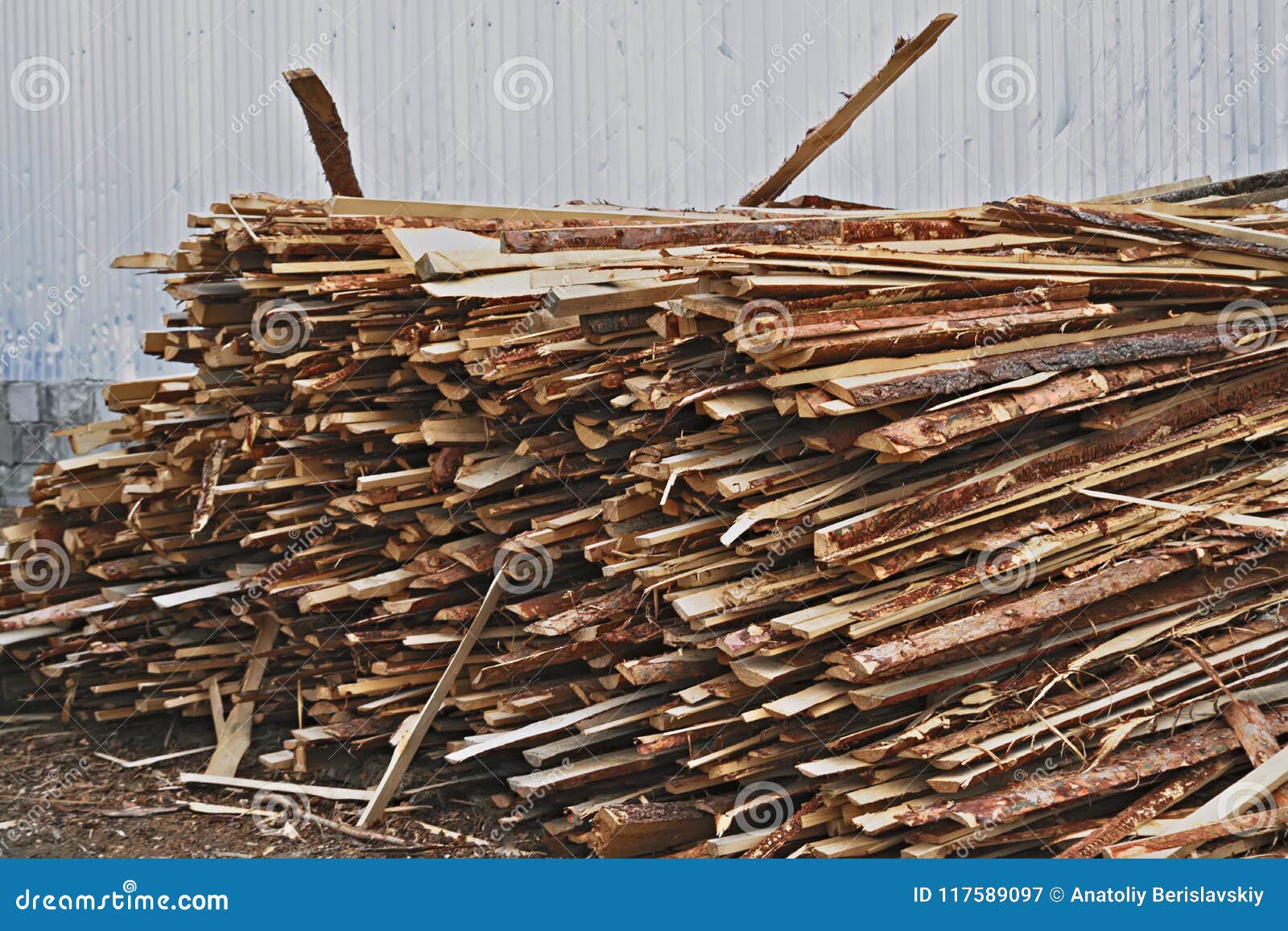 Cutted and Stacked Pine Trees. Stock Image - Image of material ...