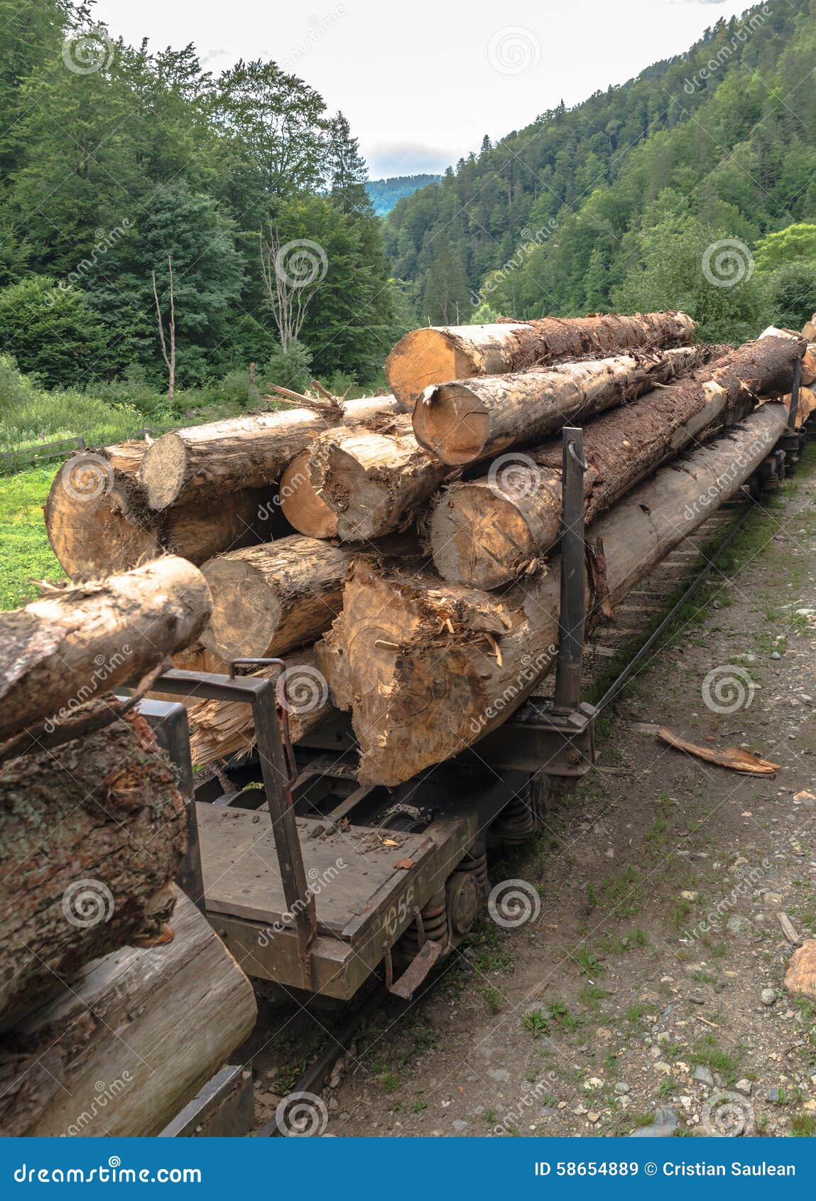 Cutted trees stock image. Image of horizontal, wood, stacked - 58654889