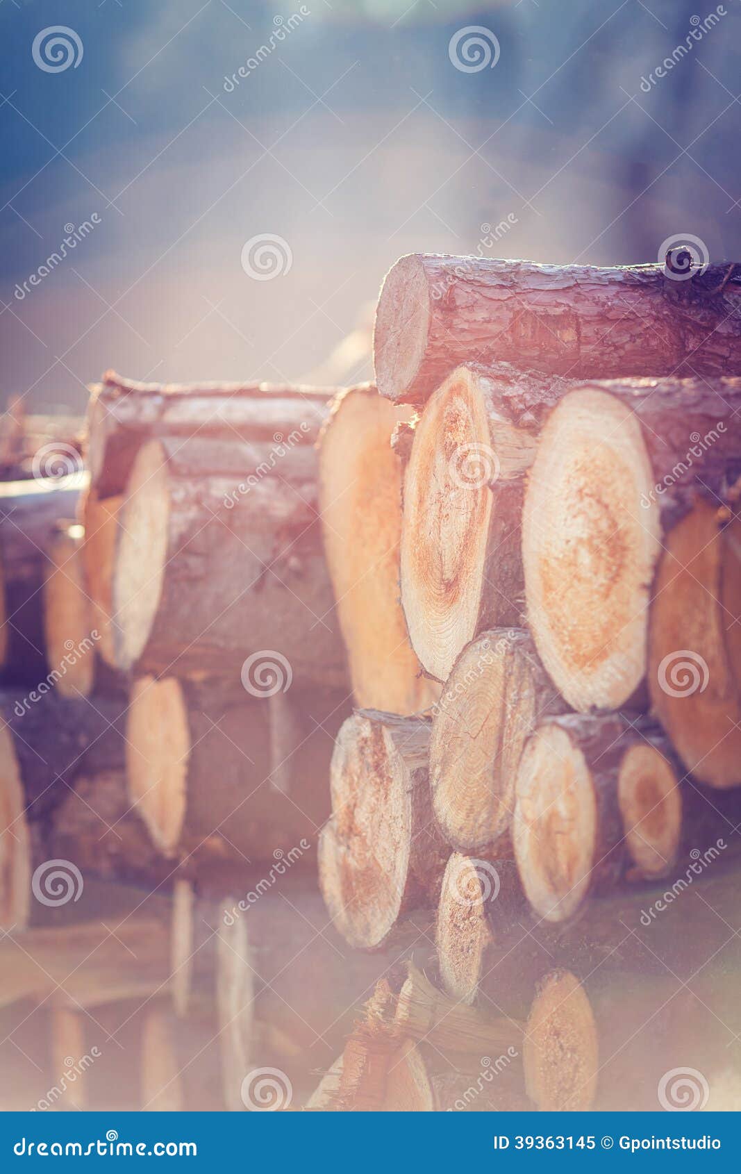 Cutted trees stock image. Image of nature, deforestation - 39363145