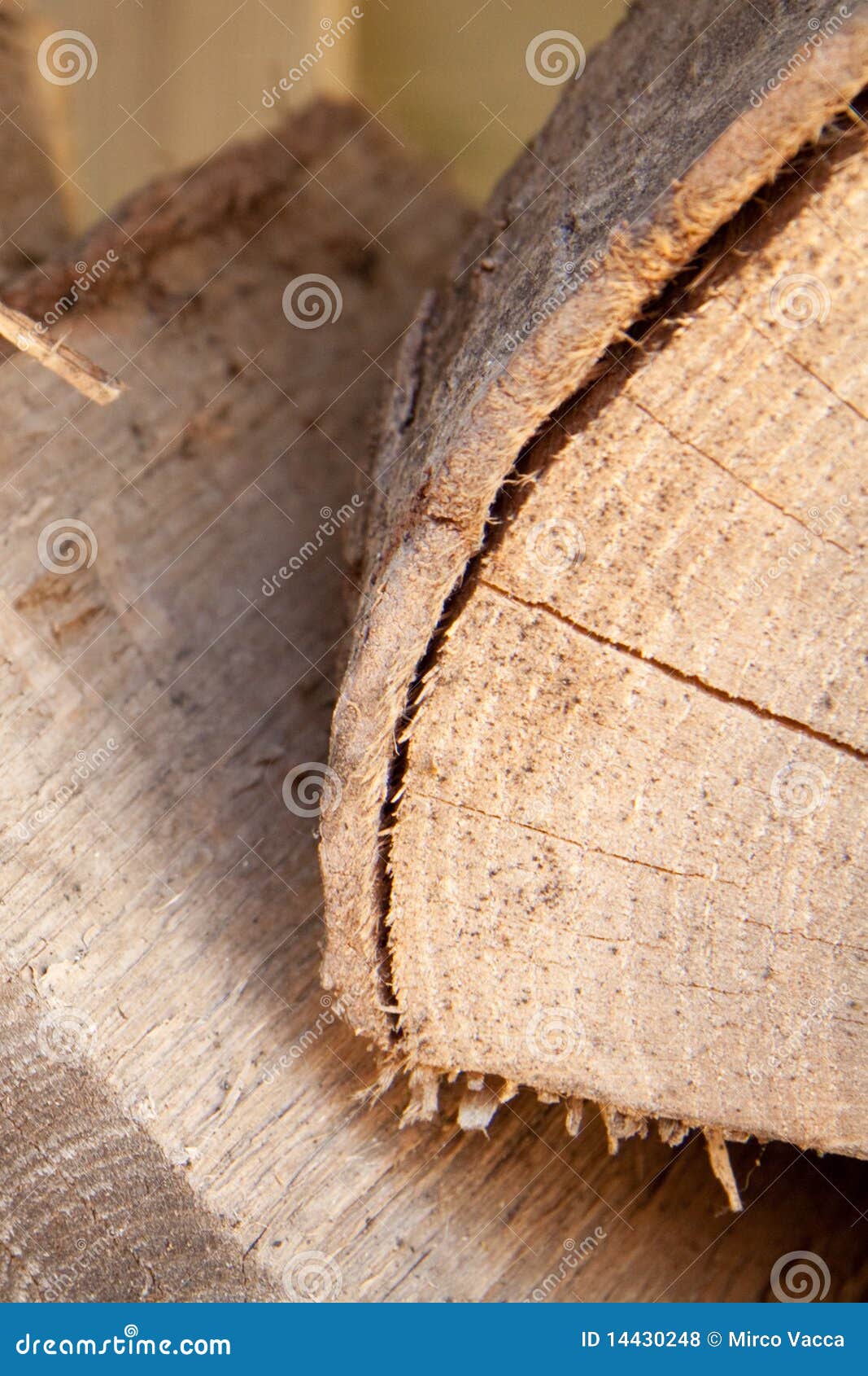 Cutted wood stock photo. Image of natural, split, sawed - 14430248