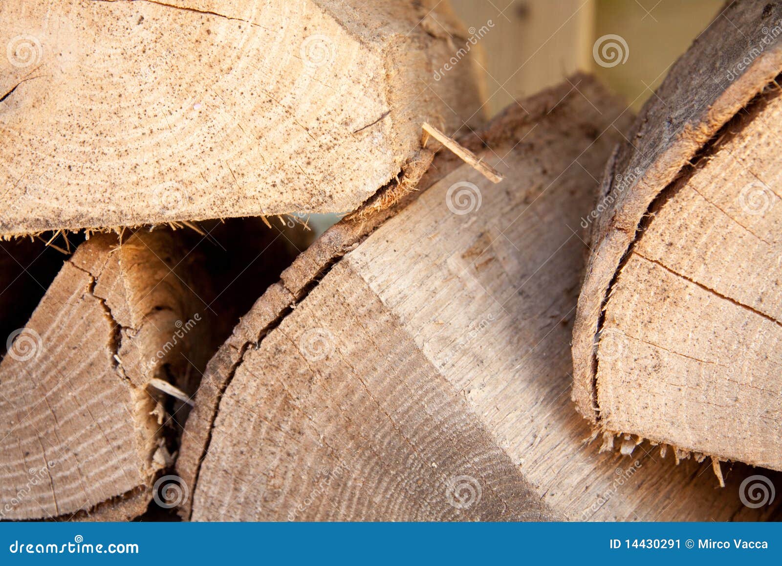 Cutted wood stock image. Image of tree, lumber, nature - 14430291