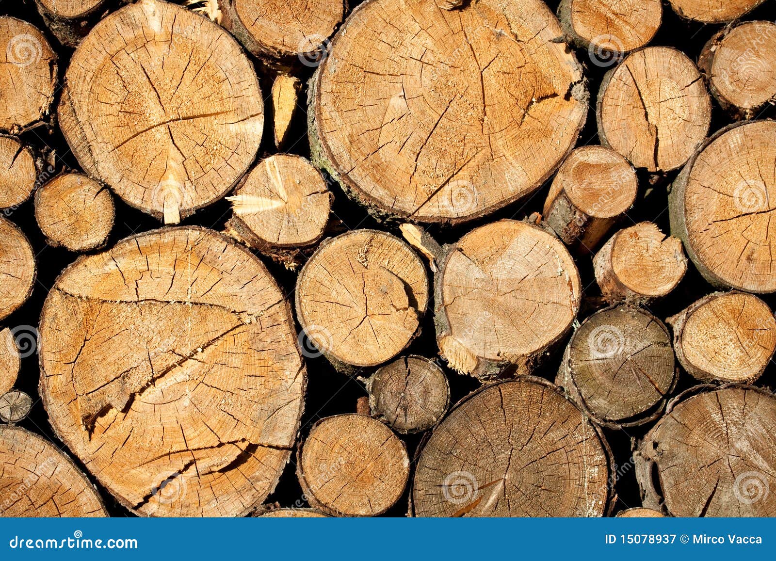 Cutted wood stock image. Image of build, nature, industry - 15078937