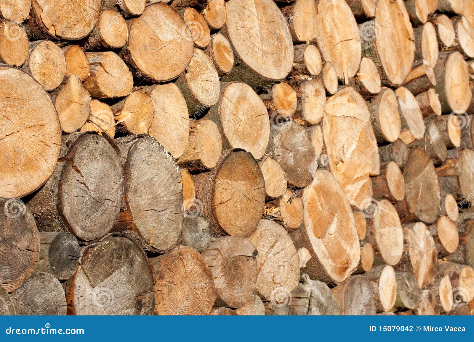 Cutted wood stock photo. Image of build, structure, lumber - 15079042