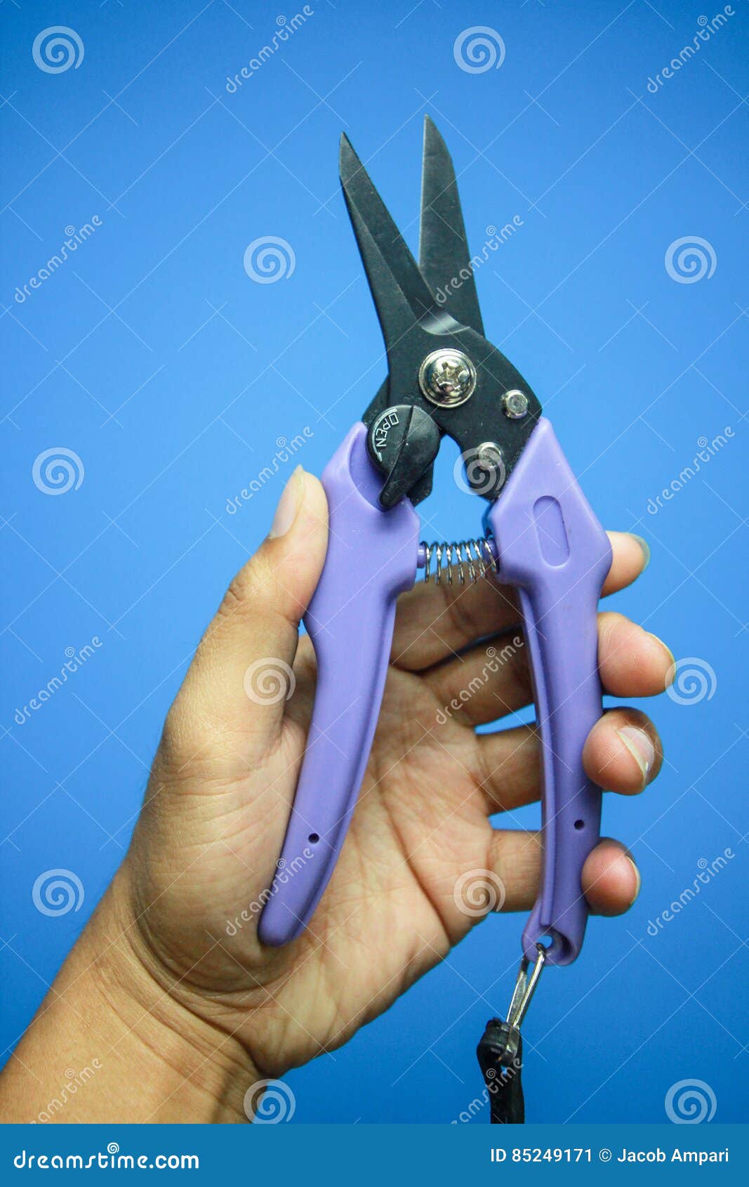 Cutter To Cut Cable or Wire Stock Image - Image of house, avoid: 85249171