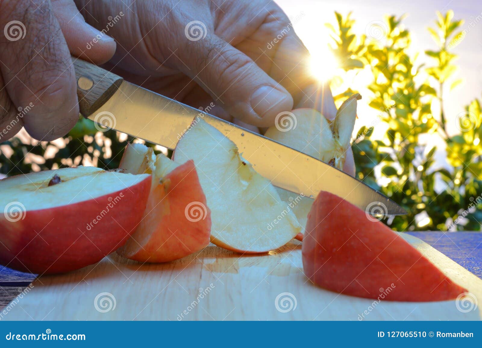Hand With Knife Cuts Carrot. Stock Photography | CartoonDealer.com ...