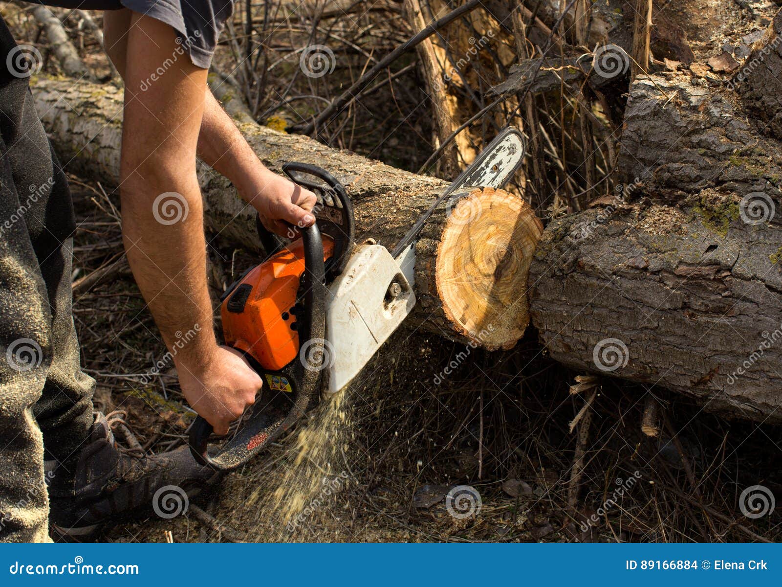 Cutting a big branch stock photo. Image of sawdust, cutter - 89166884