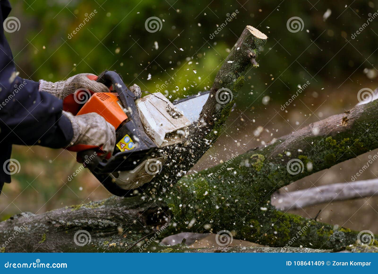 Cutting of the branch stock image. Image of industry - 108641409