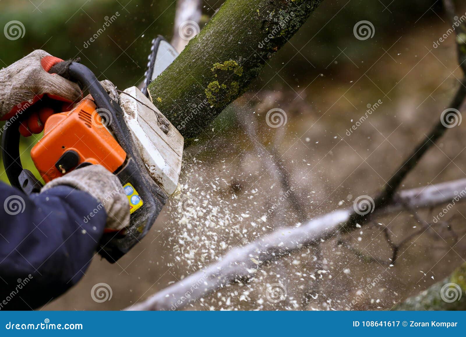 Cutting of the branch stock image. Image of machine - 108641617