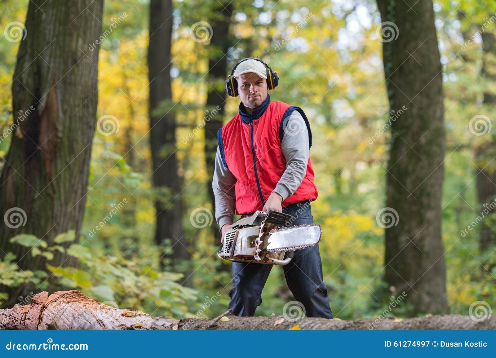 Cutting a Branch with Chainsaw Stock Image - Image of nature, chainsaw ...
