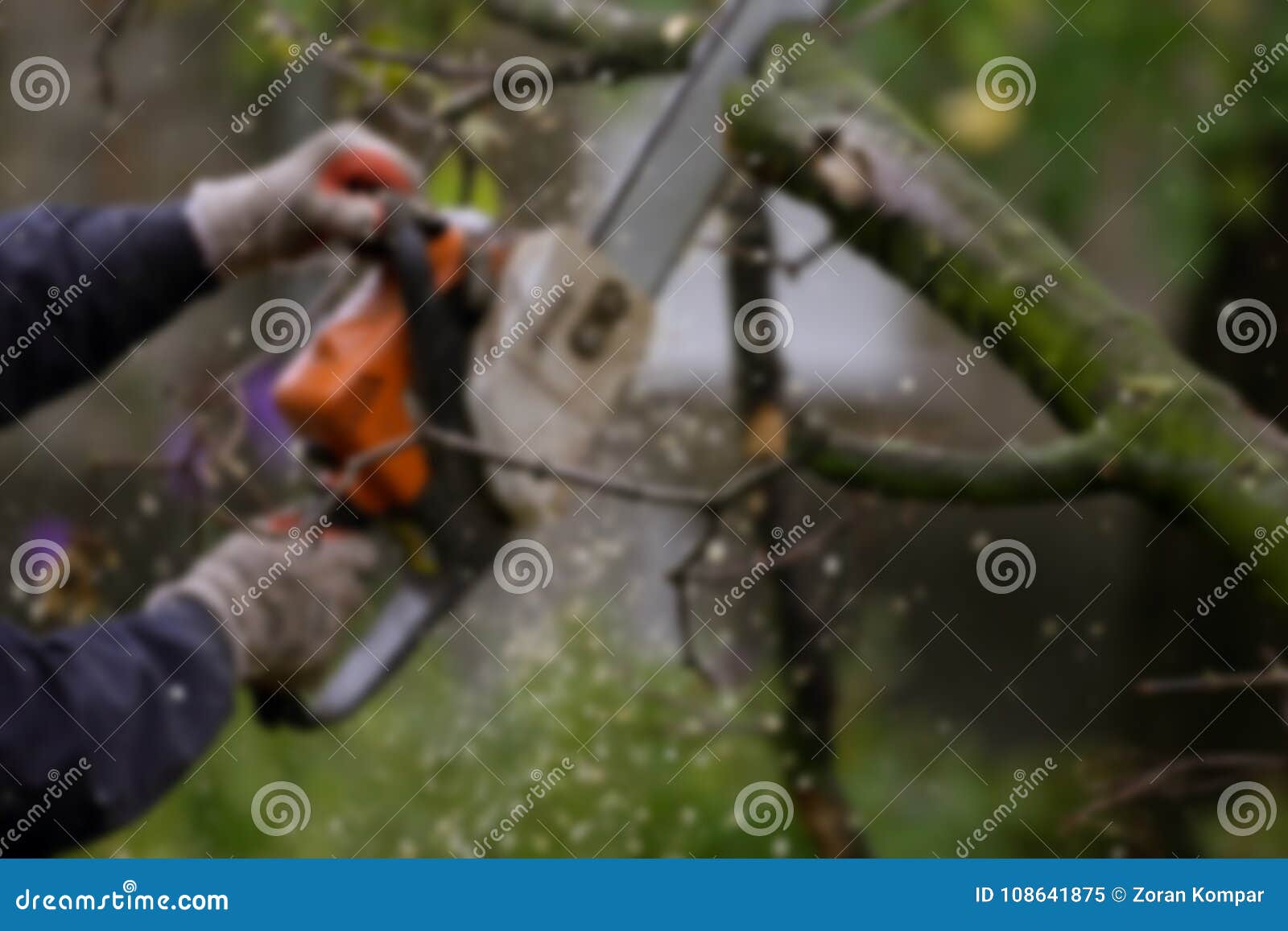 Cutting of the branch stock image. Image of cutting - 108641875