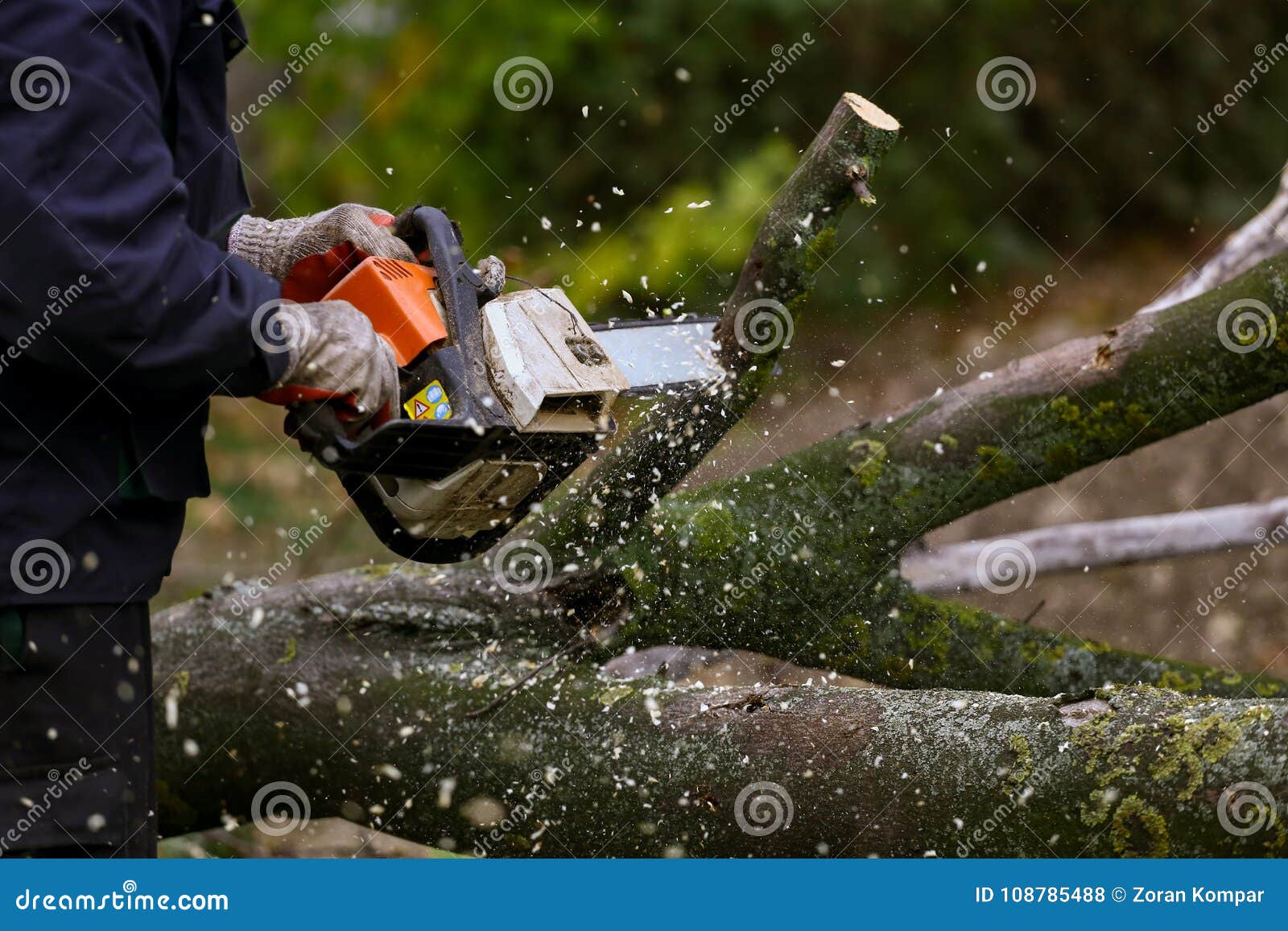 Cutting of the branch stock photo. Image of industry - 108785488