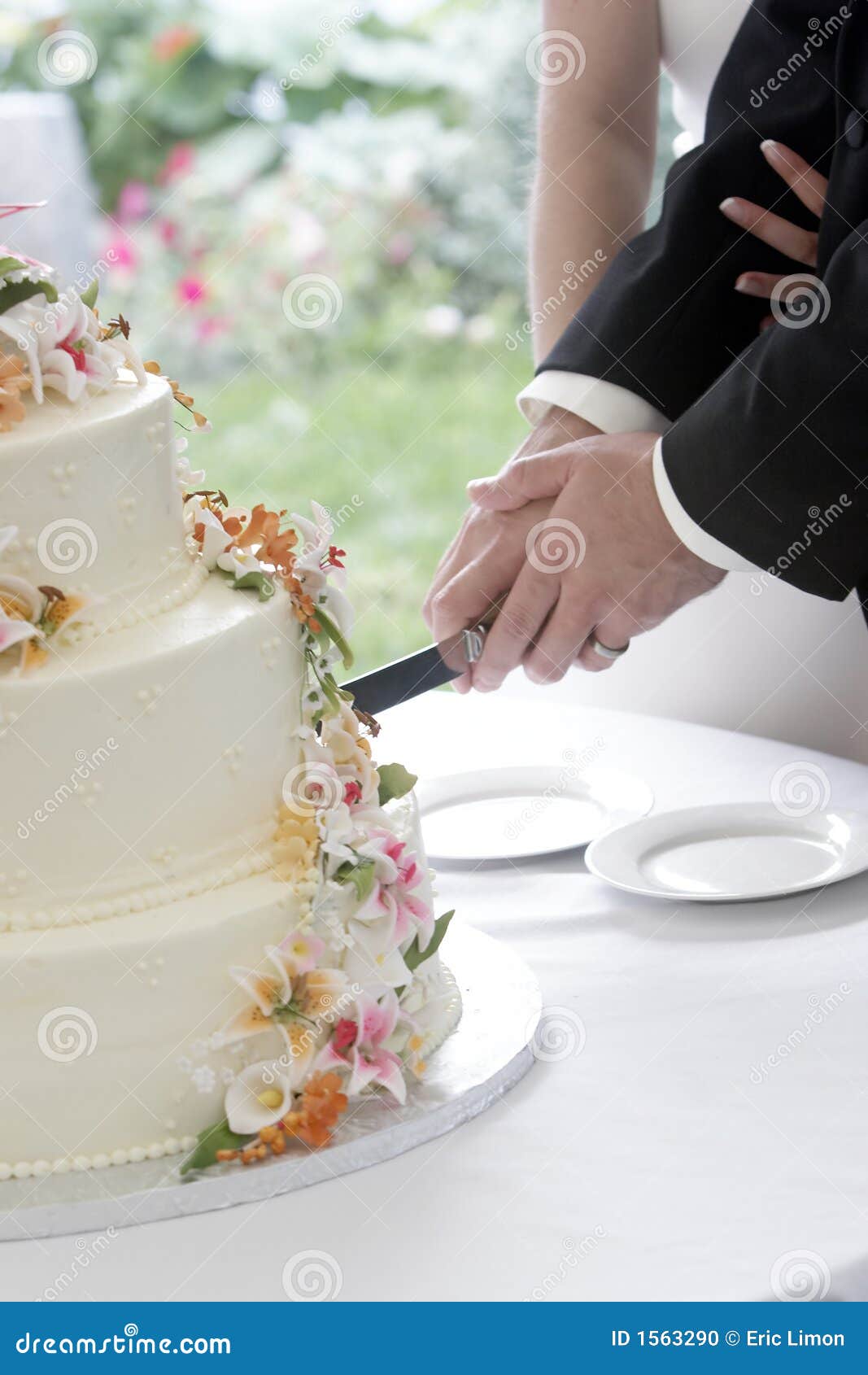 Cutting the cake stock photo. Image of hold, background - 1563290