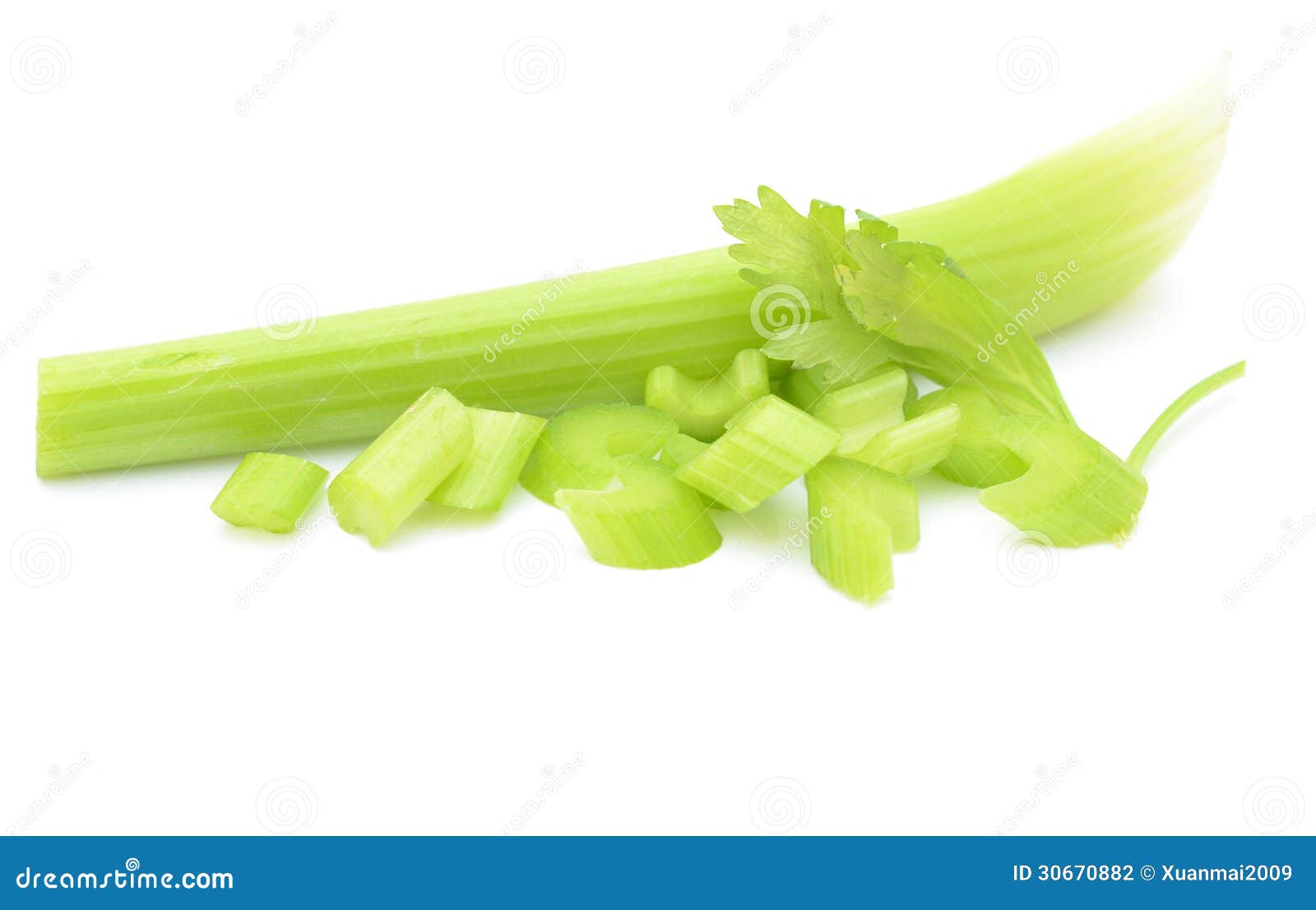 Cutting celery stock photo. Image of crunchy, leaf, celery - 30670882