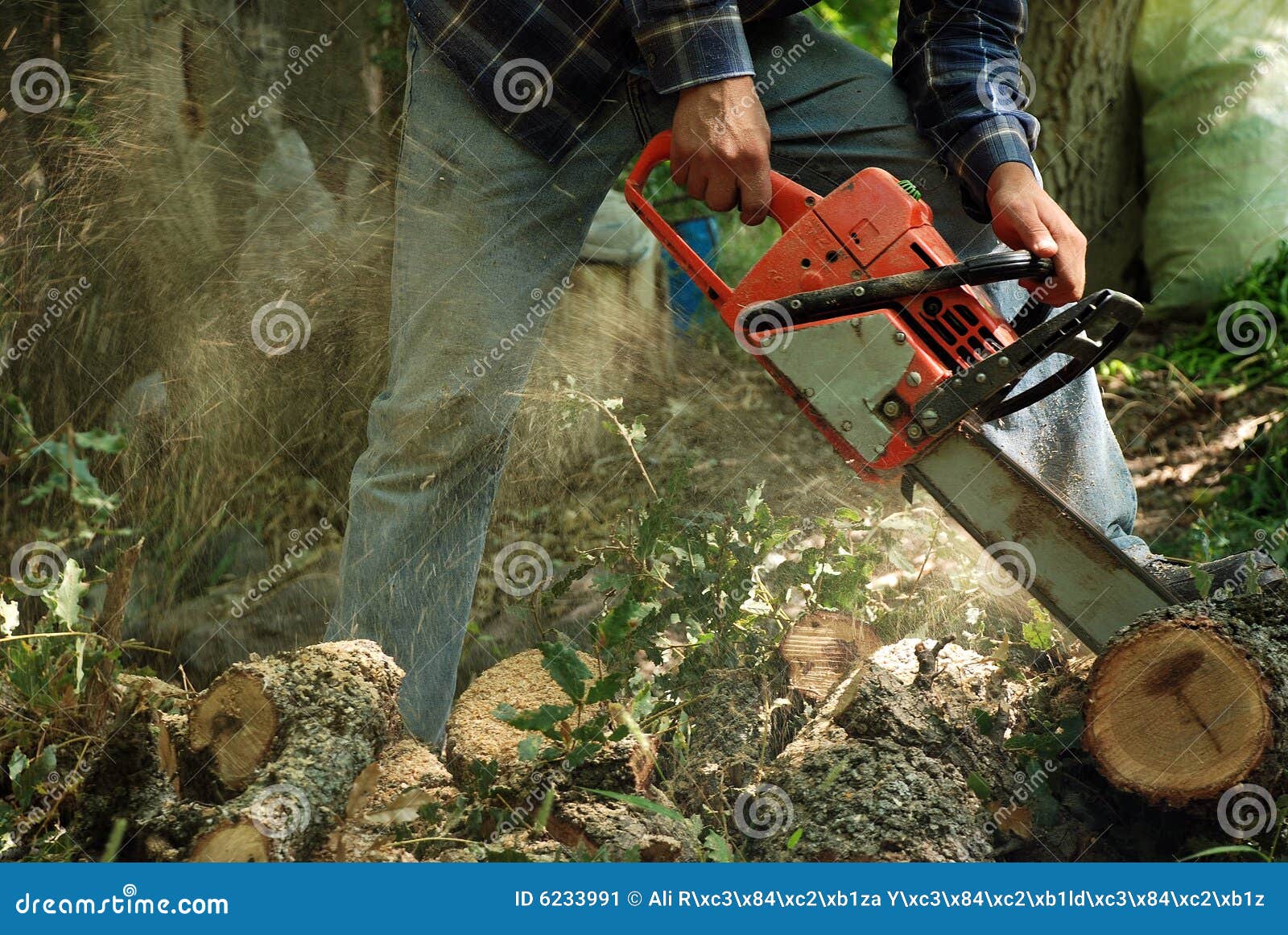 Cutting with chainsaw stock image. Image of green, lumberjack - 6233991