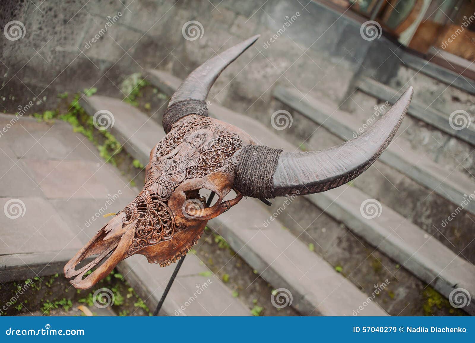Cutting with a Cow Skull Pattern Stock Image - Image of close, pattern ...