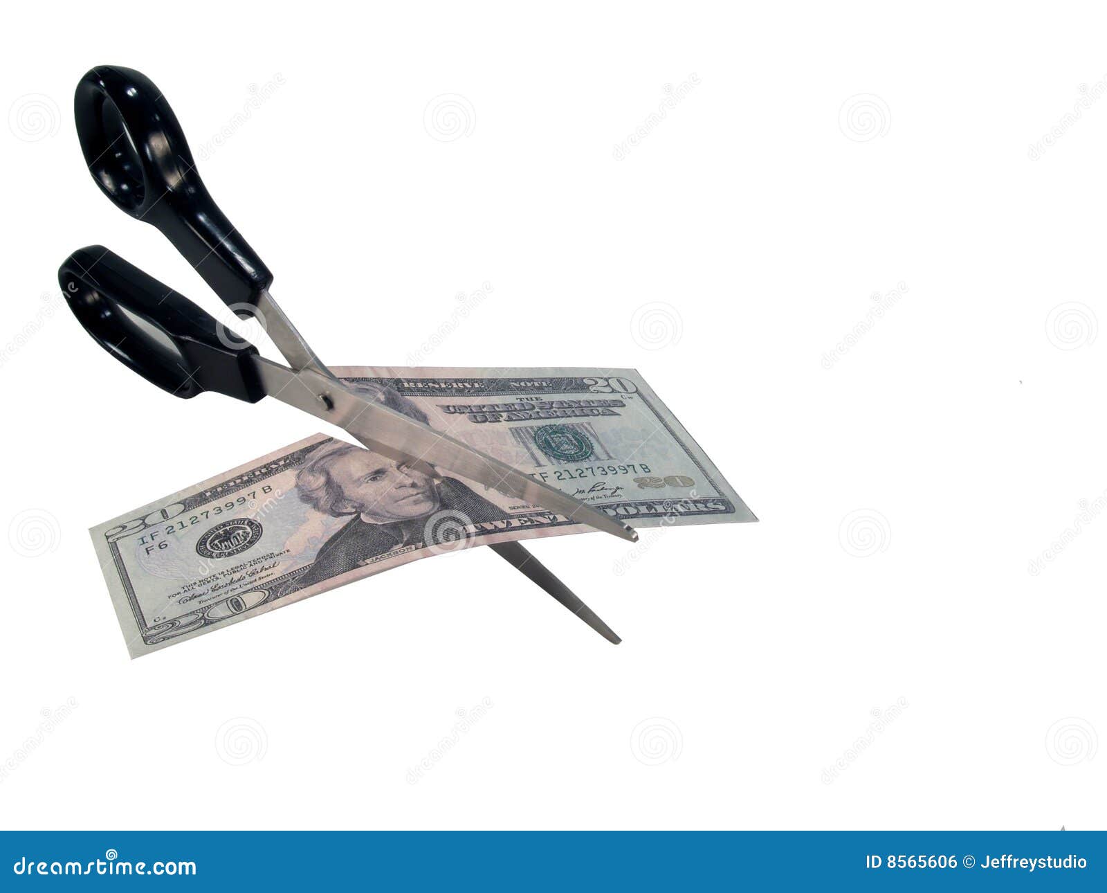 Cutting Currency stock photo. Image of economy, isolated - 8565606