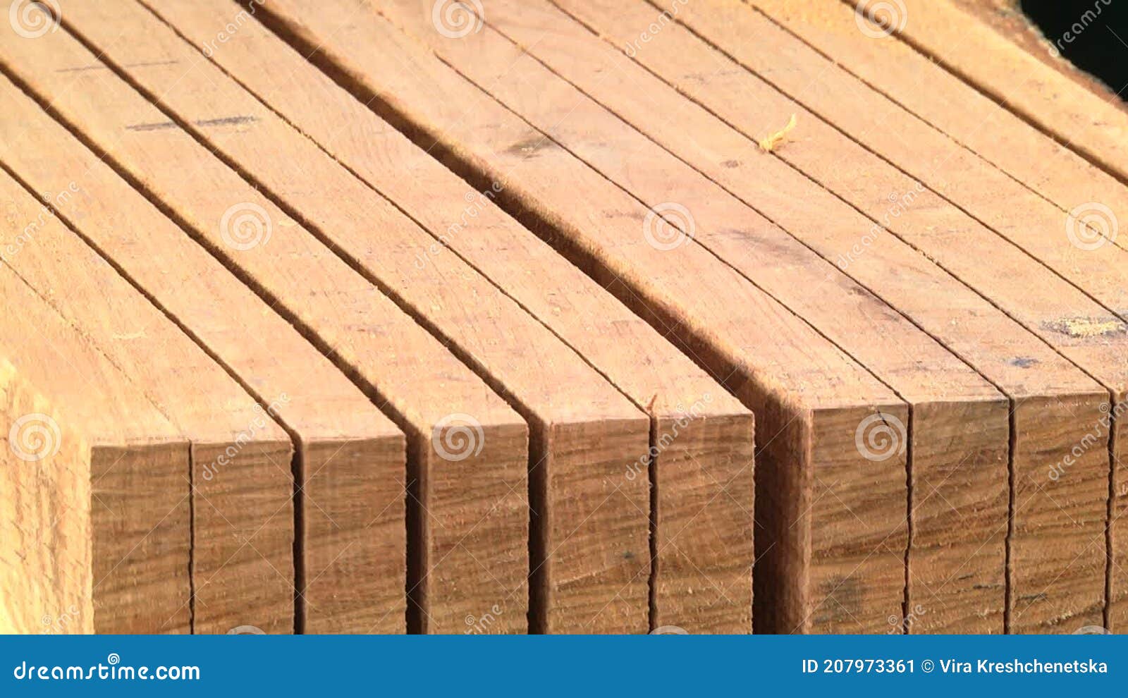 Cutting a Cut Tree Trunk into Boards Stock Video - Video of tree, steel ...