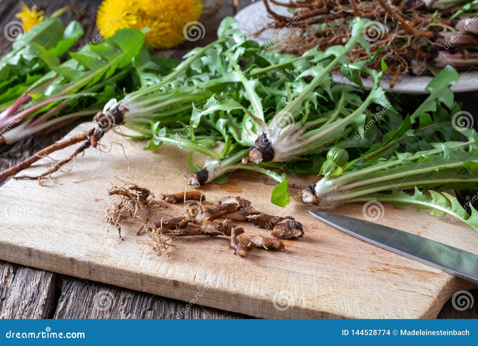 Cutting Dandelion Root on a Cutting Board Stock Photo - Image of ...
