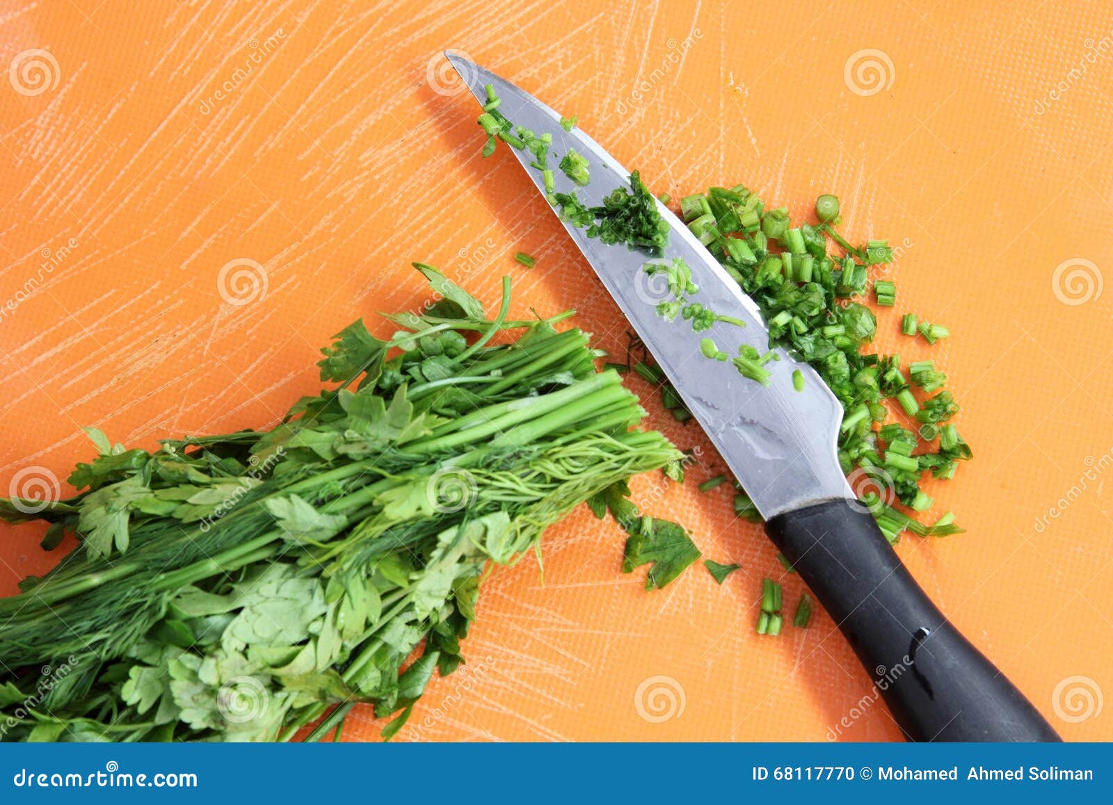 Cutting dill and parsley stock photo. Image of natural - 68117770