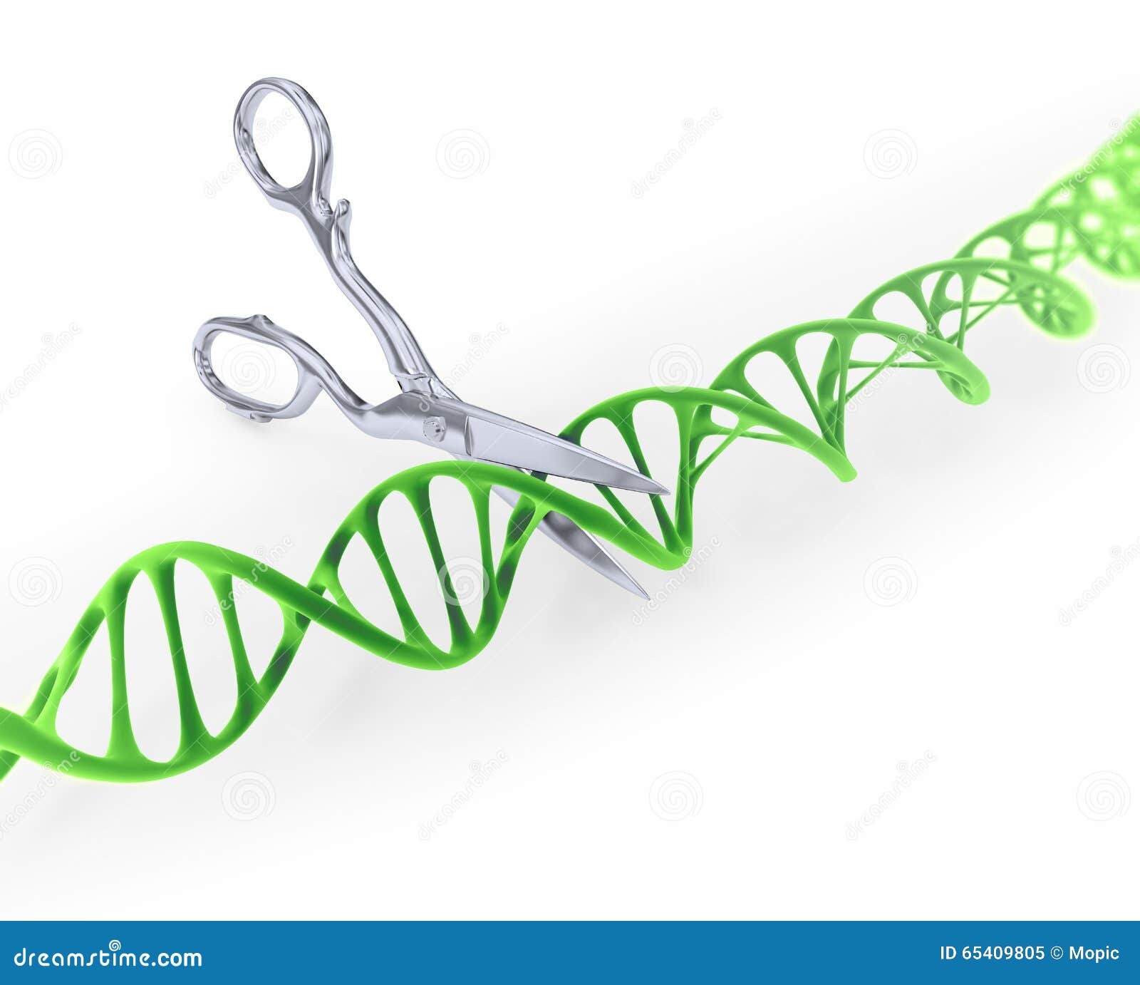 Cutting DNA stock illustration. Illustration of clone - 65409805 Cutting DNA stock illustration. Illustration of clone - 65409805