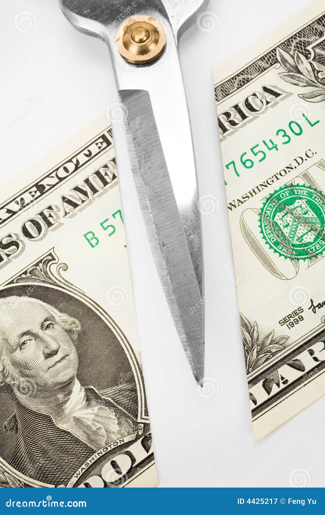 Cutting dollars stock image. Image of dollars, banking - 4425217