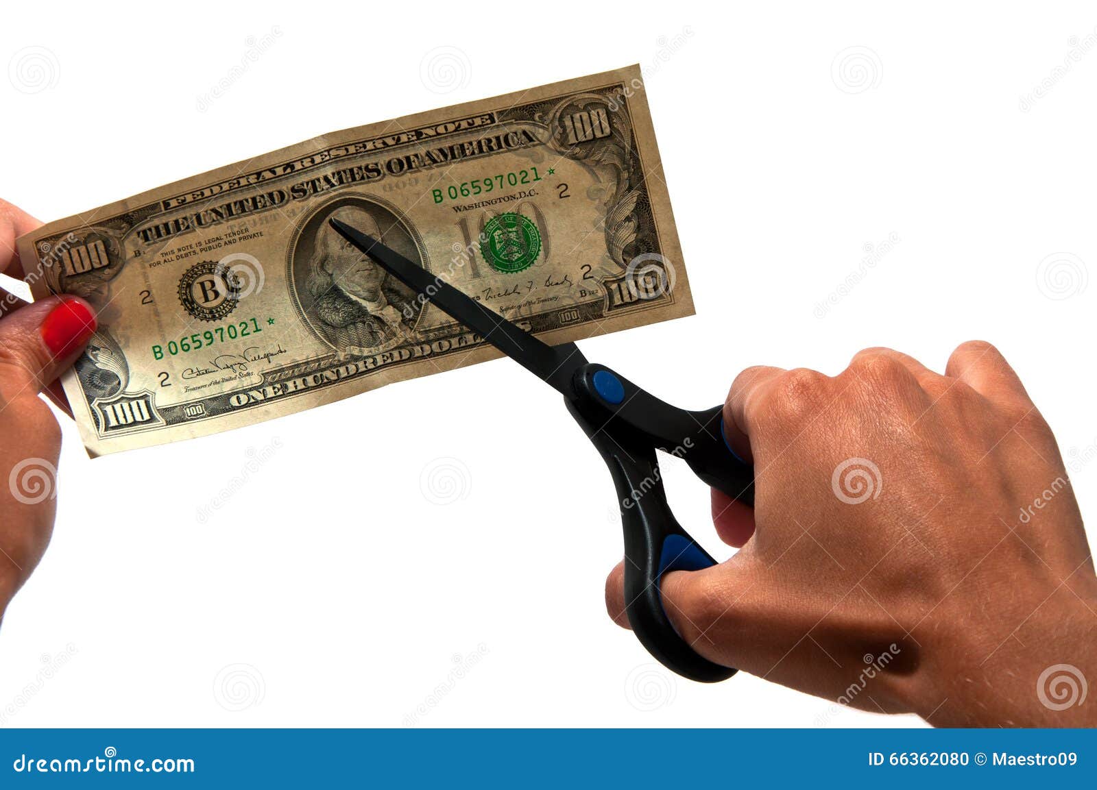 Cutting dollars stock photo. Image of paper, bill, action - 66362080