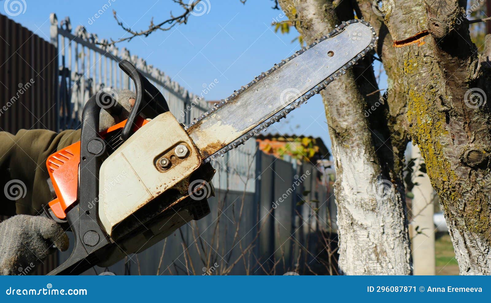 Cutting Down Tree Branches Using a Chainsaw Stock Image - Image of ...