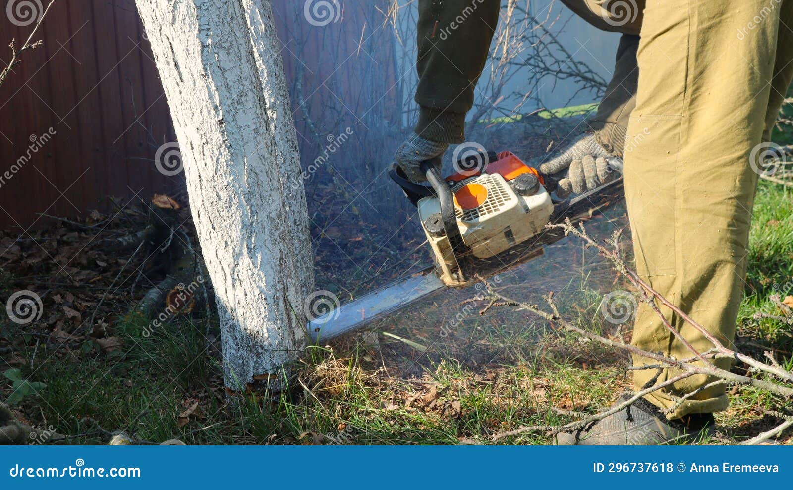 Cutting Down a Tree in a Park with a Chainsaw Stock Photo - Image of ...