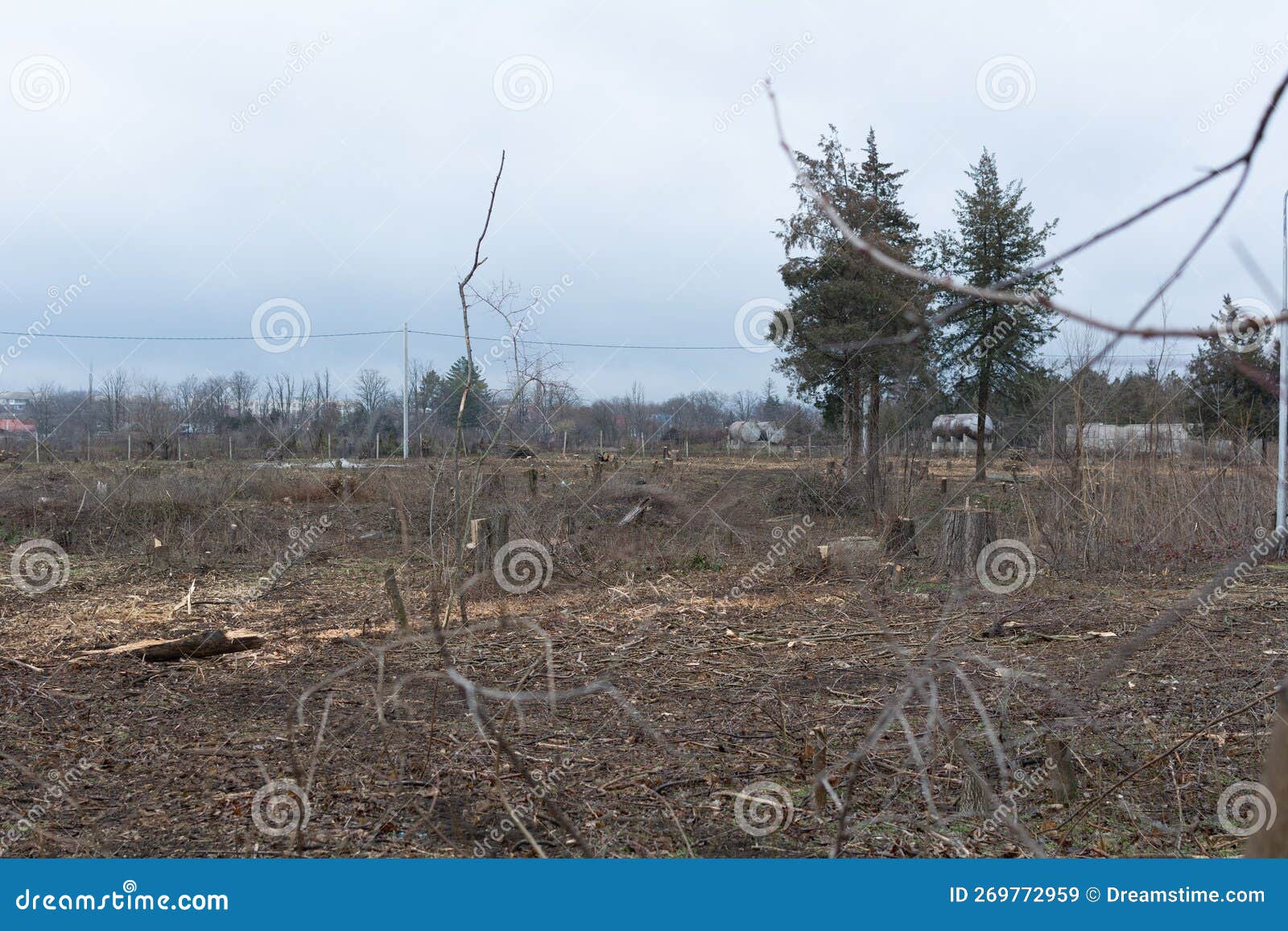 Cutting Down Trees in the City. Deforestation. Ecological Catastrophe ...