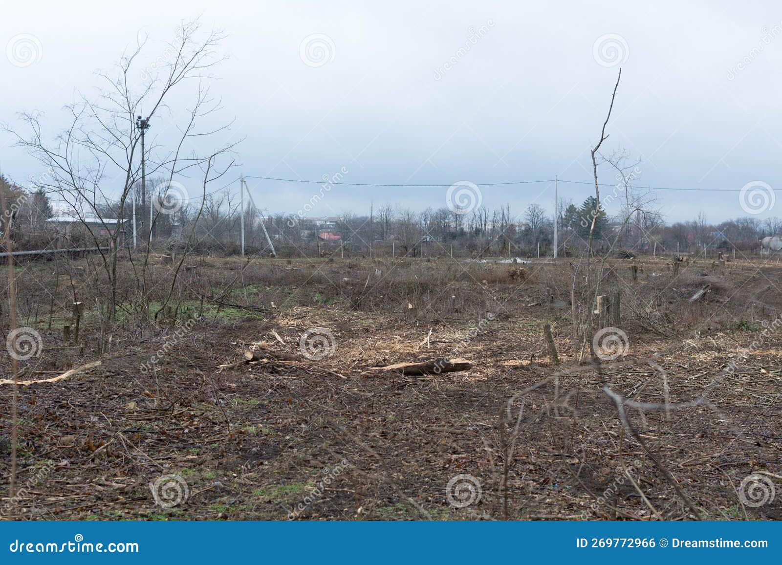 Cutting Down Trees in the City. Deforestation. Ecological Catastrophe ...