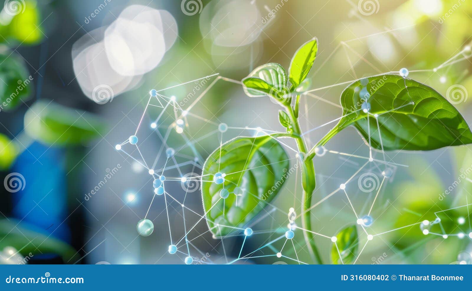 Cutting-edge Biotech Green Plant Molecular Blueprint, Ai Generated ...