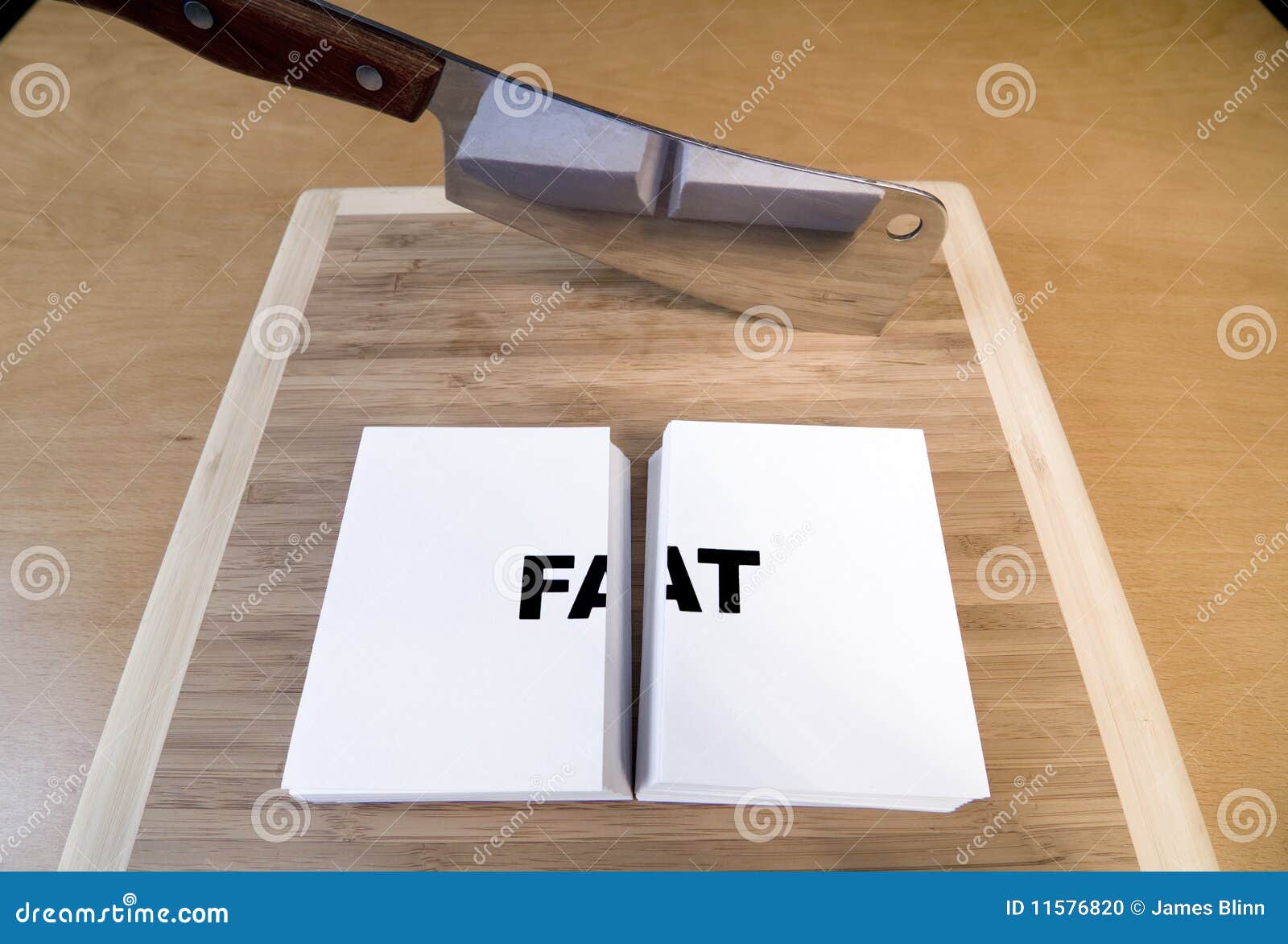 Cutting Fat stock photo. Image of weight, loss, chopping - 11576820