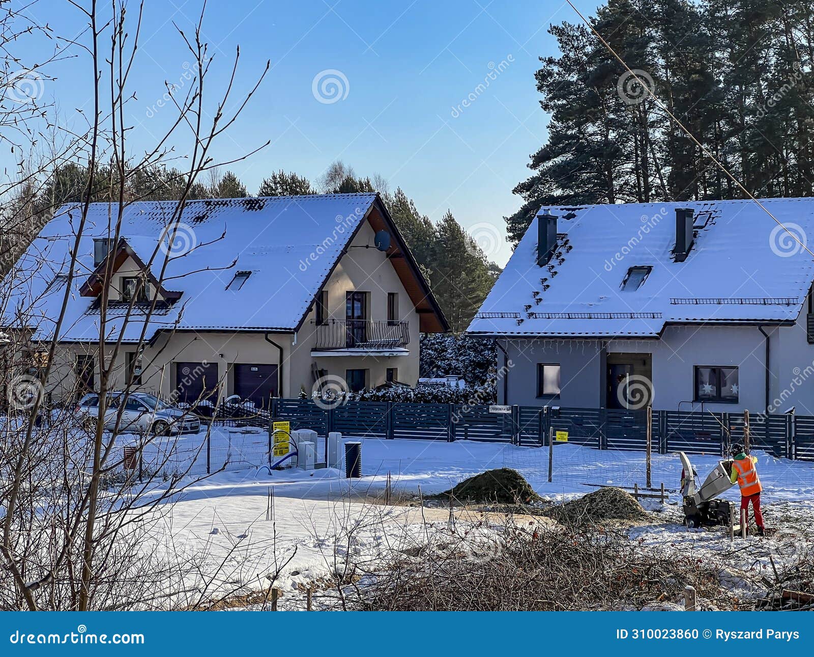 Cutting and Felling Trees Near Houses Using the Manual Climbing Method ...