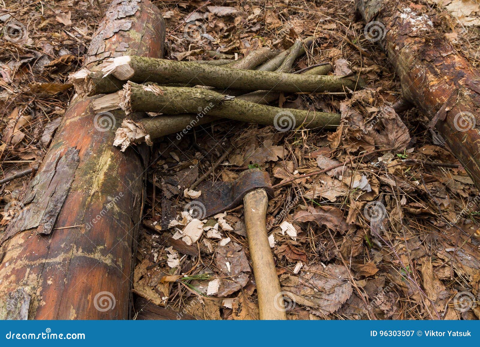 Cutting Firewood To the Fire. Ax and Firewood. Forest. Stock Image ...