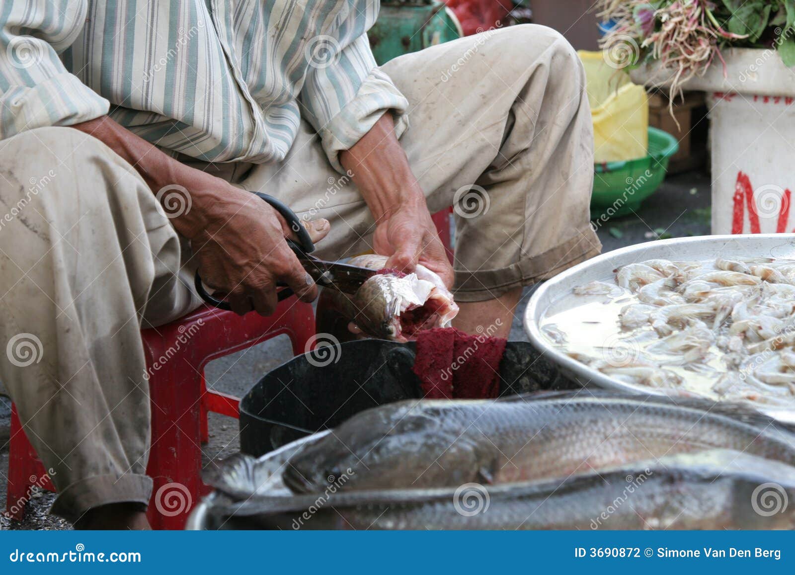 Cutting the fish stock photo. Image of asia, hygiene, cutting - 3690872